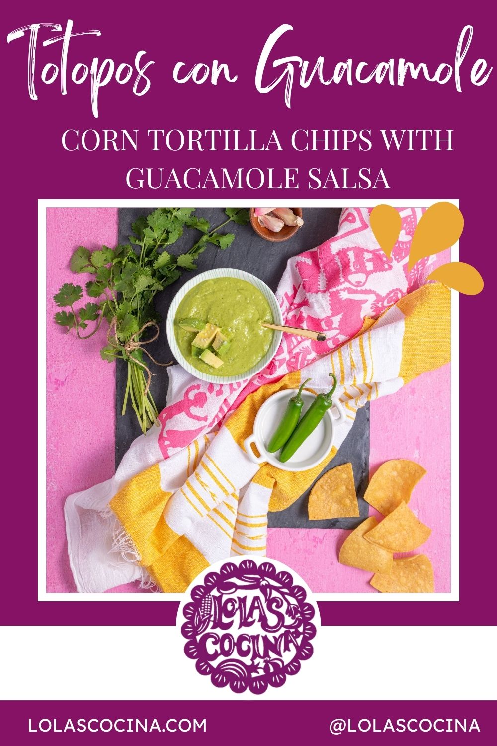BEST Totopos Caseros Recipe (Homemade Corn Tortilla Chips)