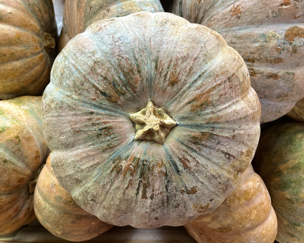 How to Make Calabazas Dulces (Mexican Candied Pumpkin)
